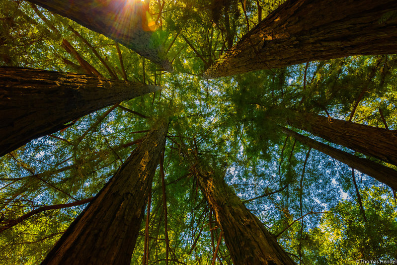 From Underneath. - Photography by Thomas Hendel