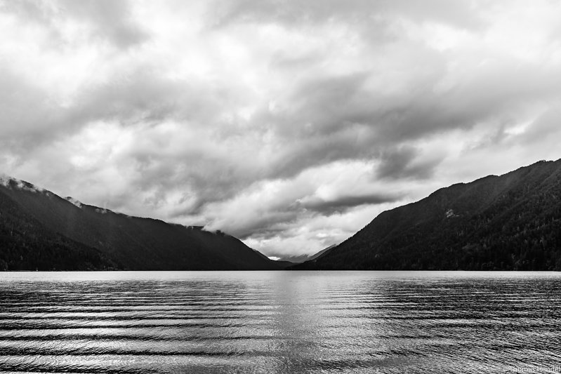 Natural Patterns. - Photography by Thomas Hendel